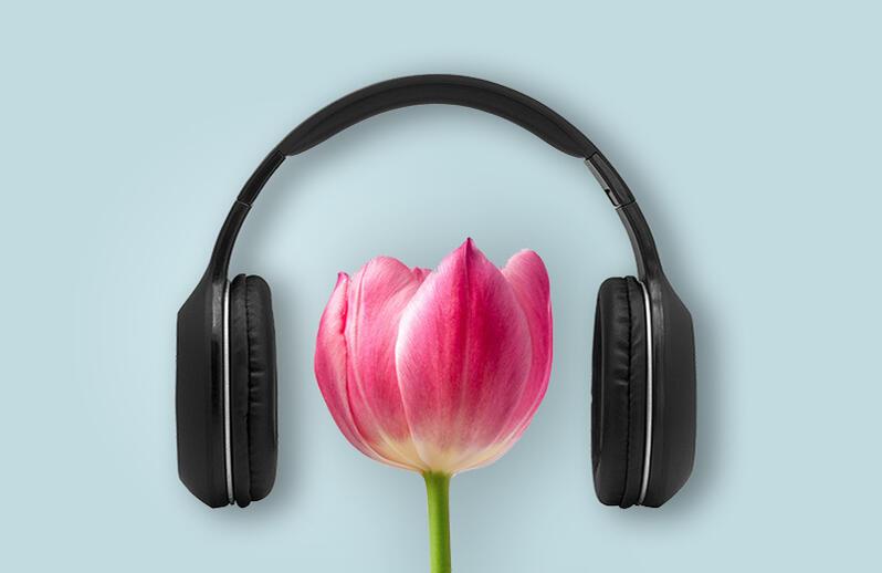 Lecture Series' 2025-26 | Gresham College